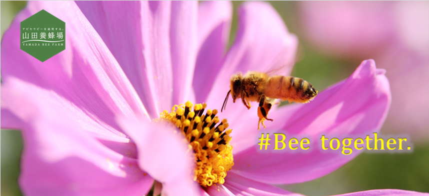 Yamada Bee Farm