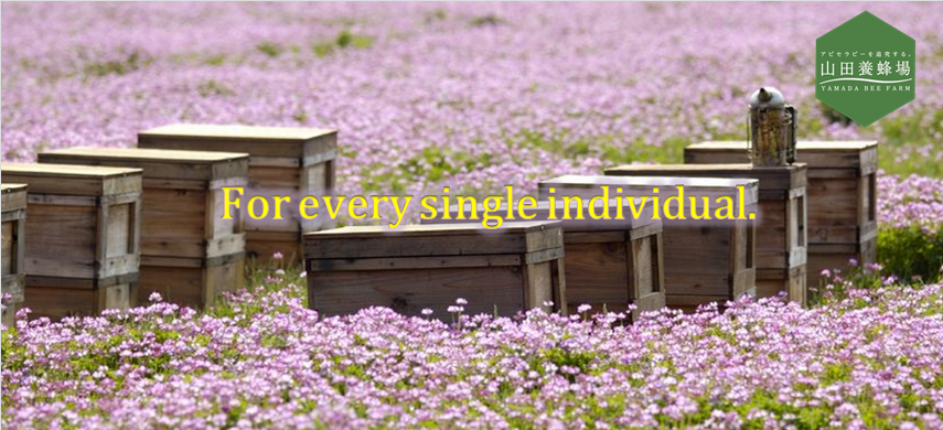 Yamada Bee Farm